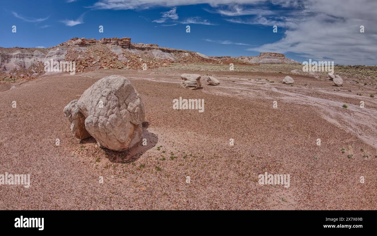 Large boulders that have rolled off the east cliffs of Blue Mesa in ...