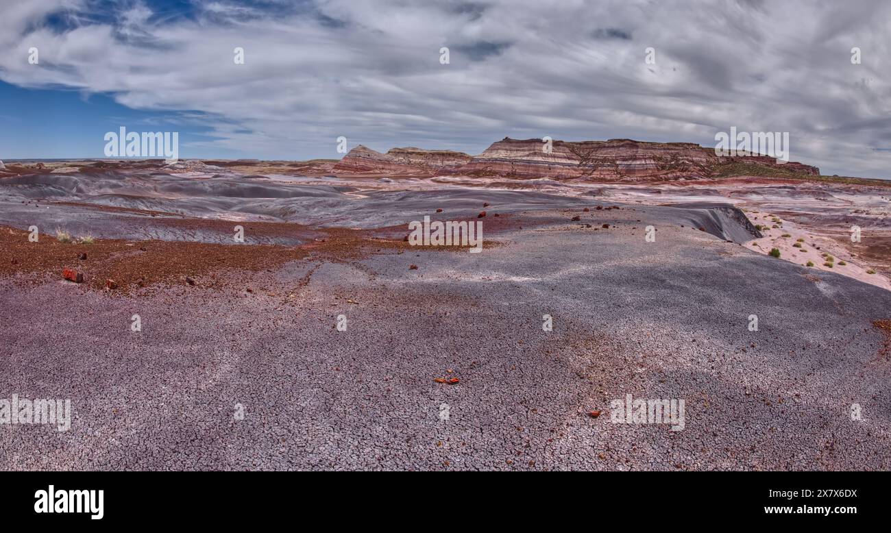 The Clam Bed Mesa in Petrified Forest National Park Arizona viewed from ...
