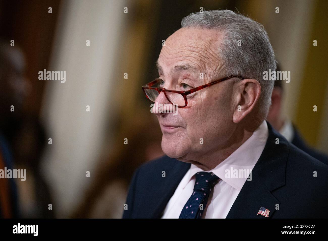United States Senate Majority Leader Chuck Schumer (Democrat of New ...