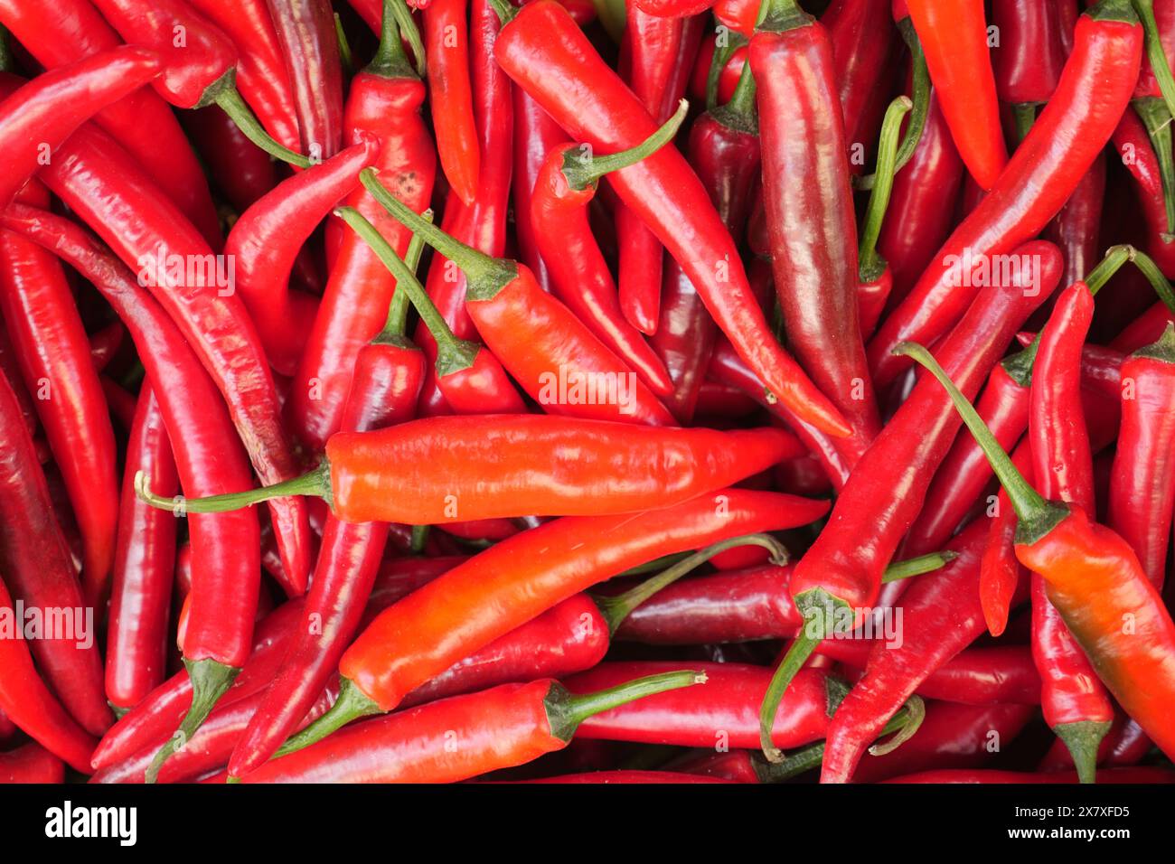 Red chilli peppers in a box Stock Photo - Alamy