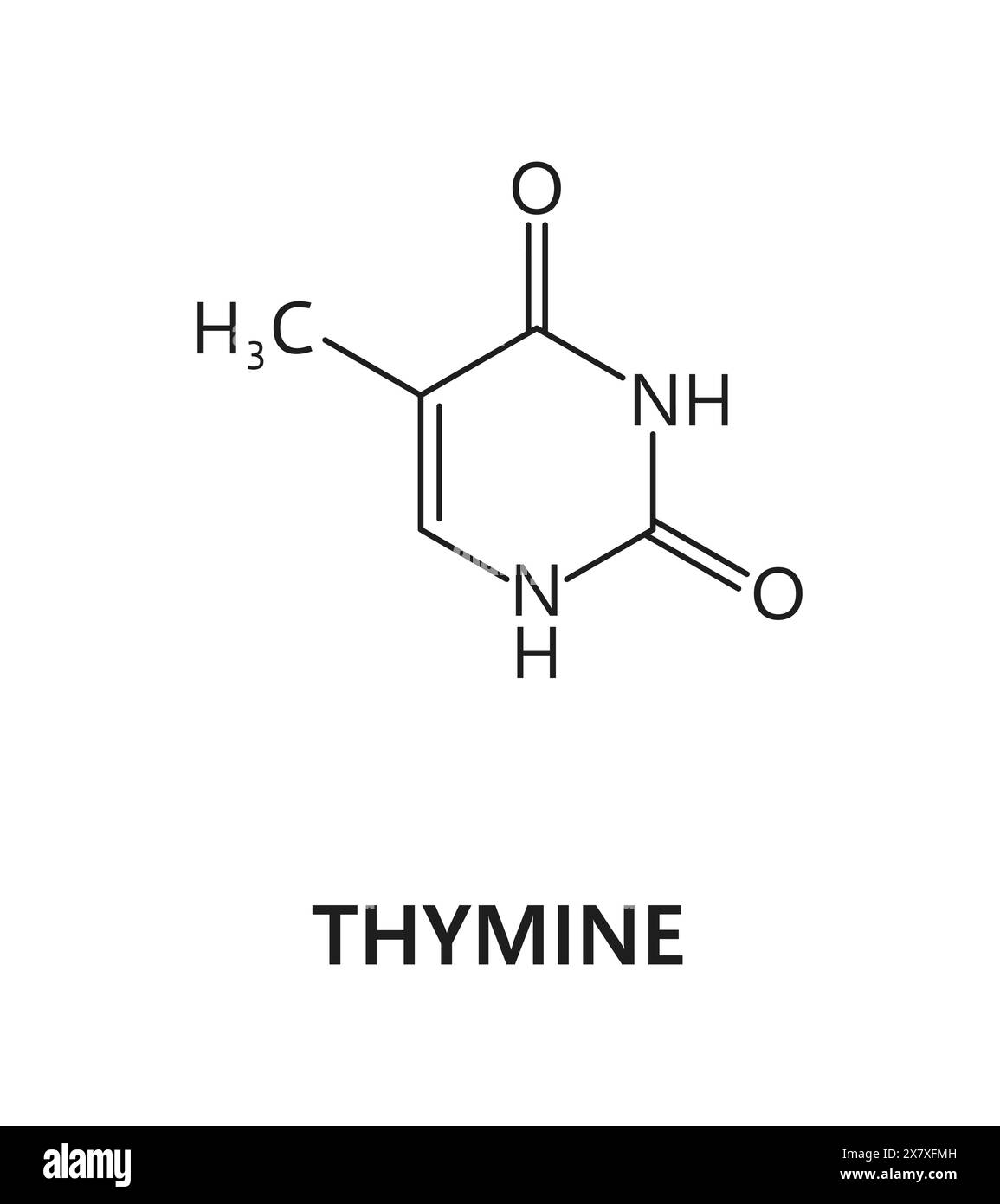 Thymine Nucleic Acid Nitrogenous Base Nitrogen And Hydrogen Formula Nitrogen And Hydrogen