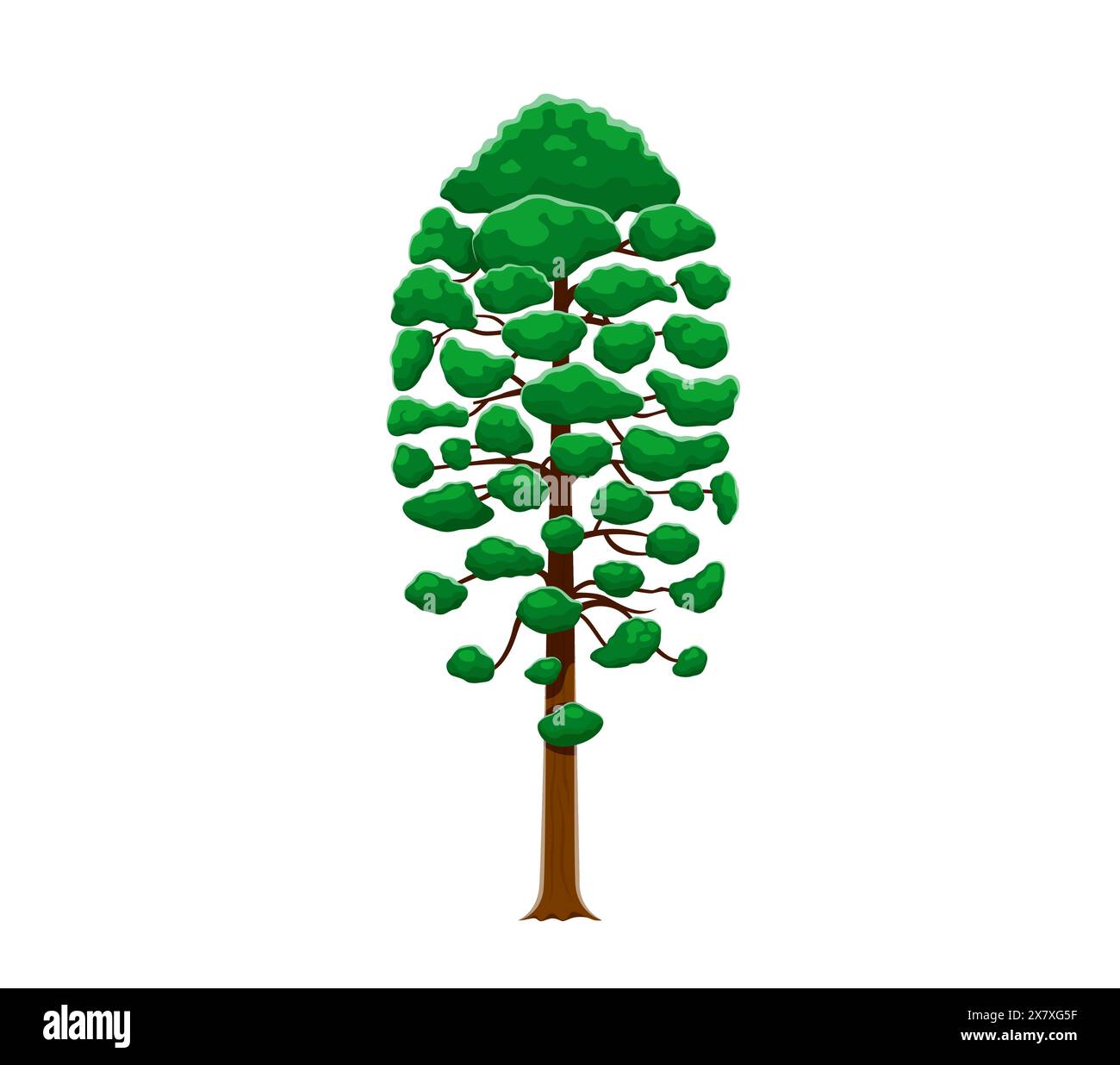 Cartoon jungle rainforest tree. Isolated vector tropical plant, its ...