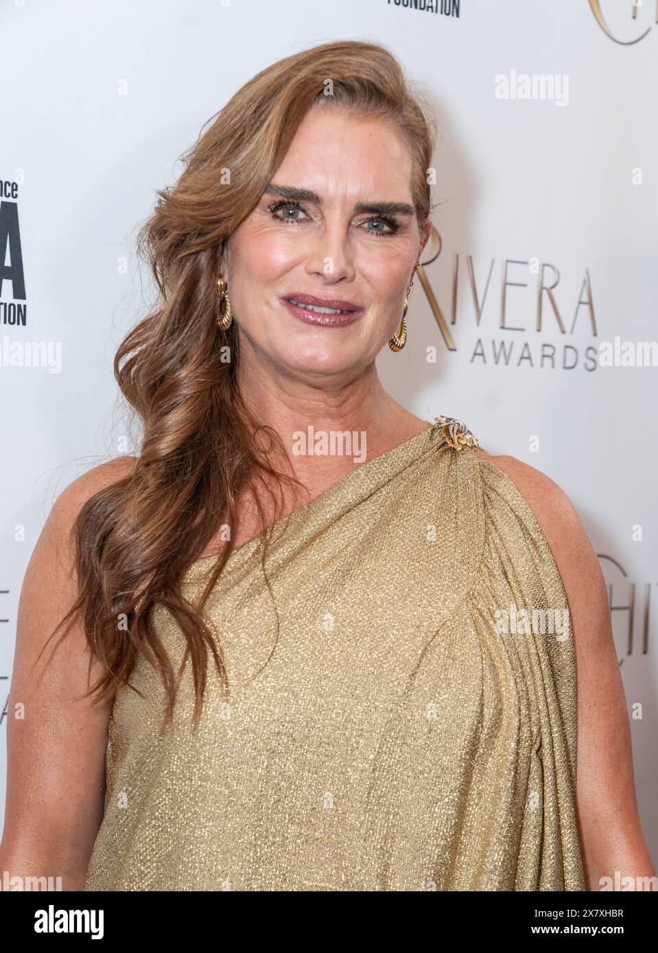 Brooke Shields wearing dress by Halston attends the 2024 Chita Rivera ...