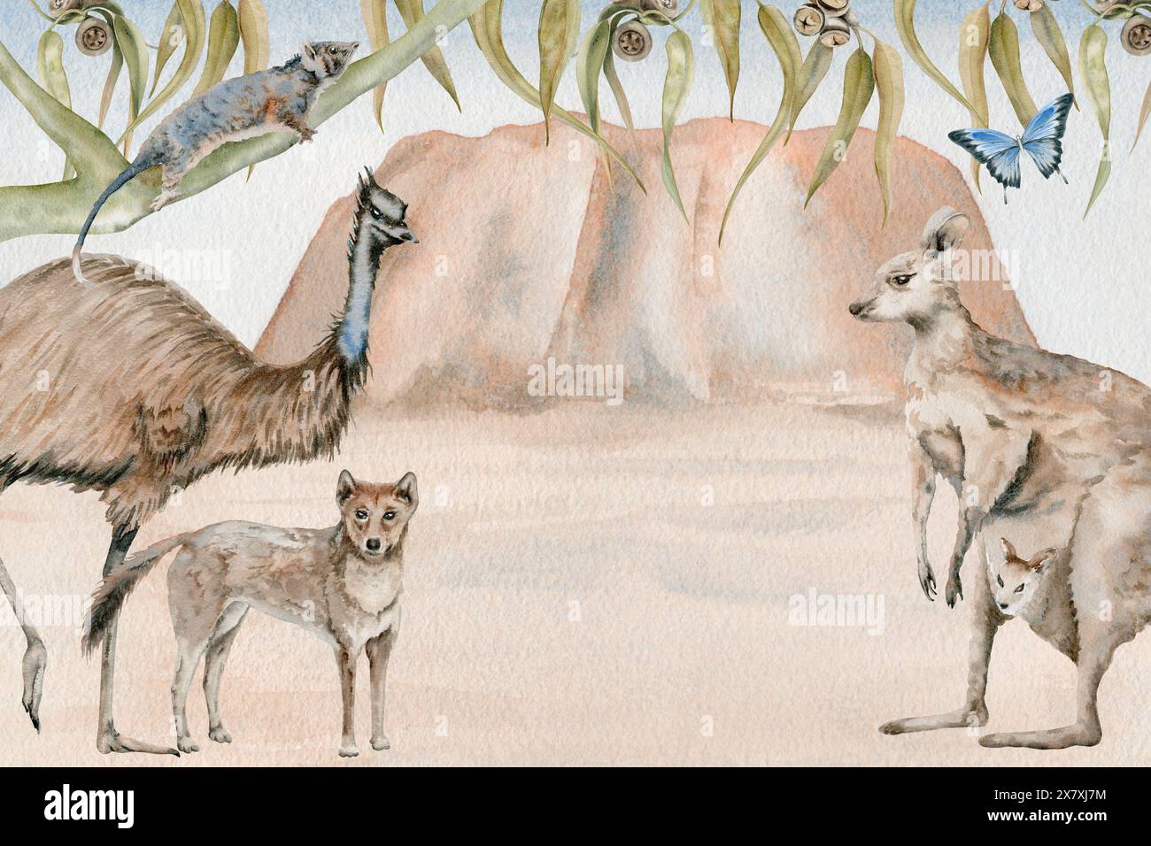 Postcard with kangaroo, dingo, emu and possum decorated with eucalyptus ...