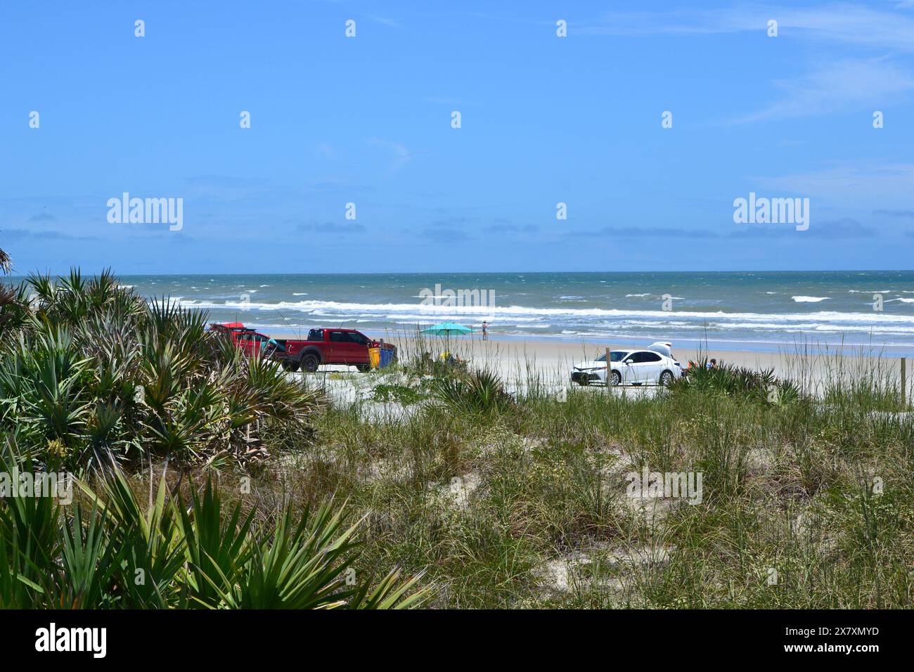 The ocean unfolds in a scenic panorama from the dunes, dotted with cars ...