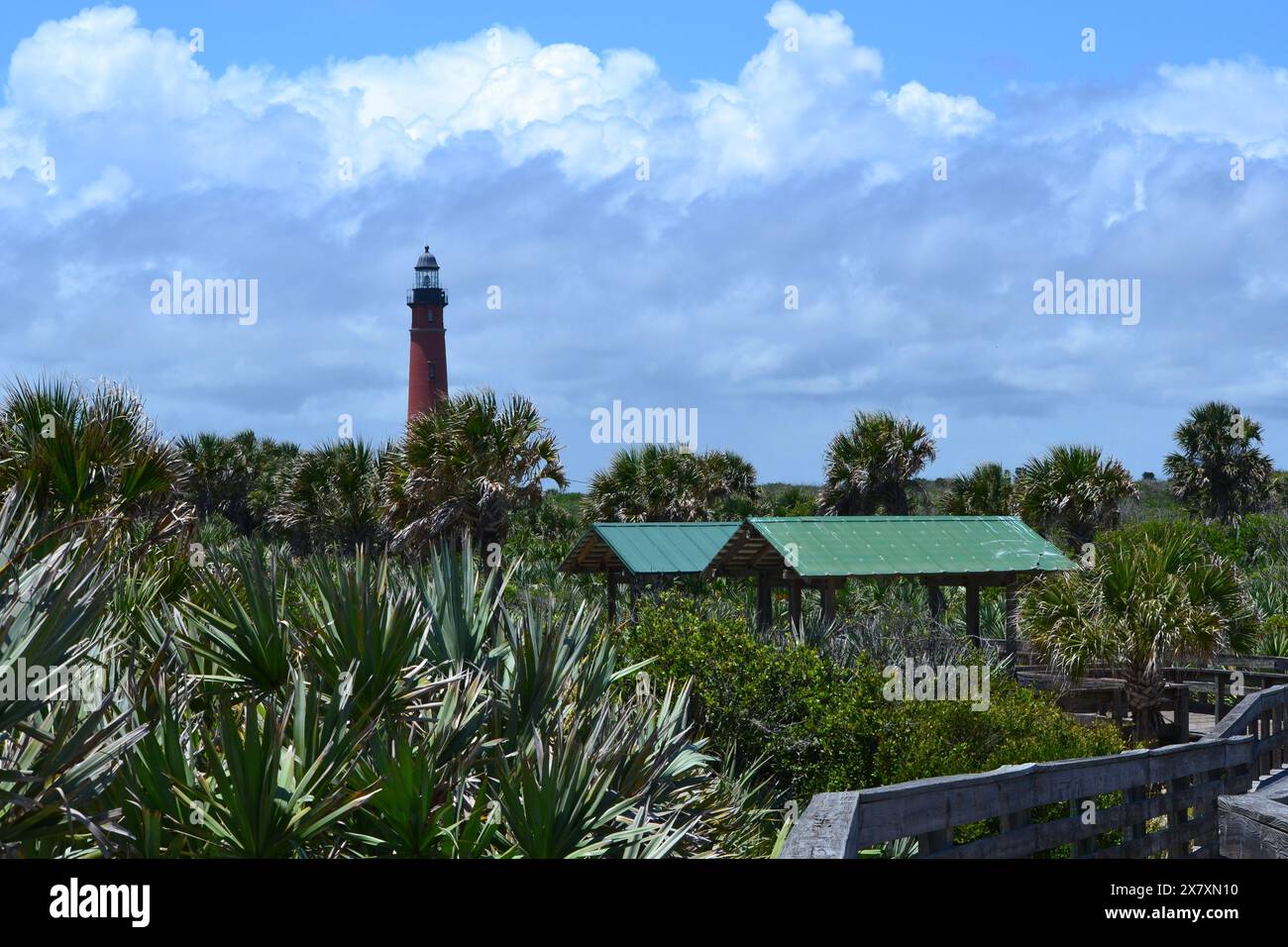 The Ponce Inlet Lighthouse rises in the distance behind the dunes, with ...