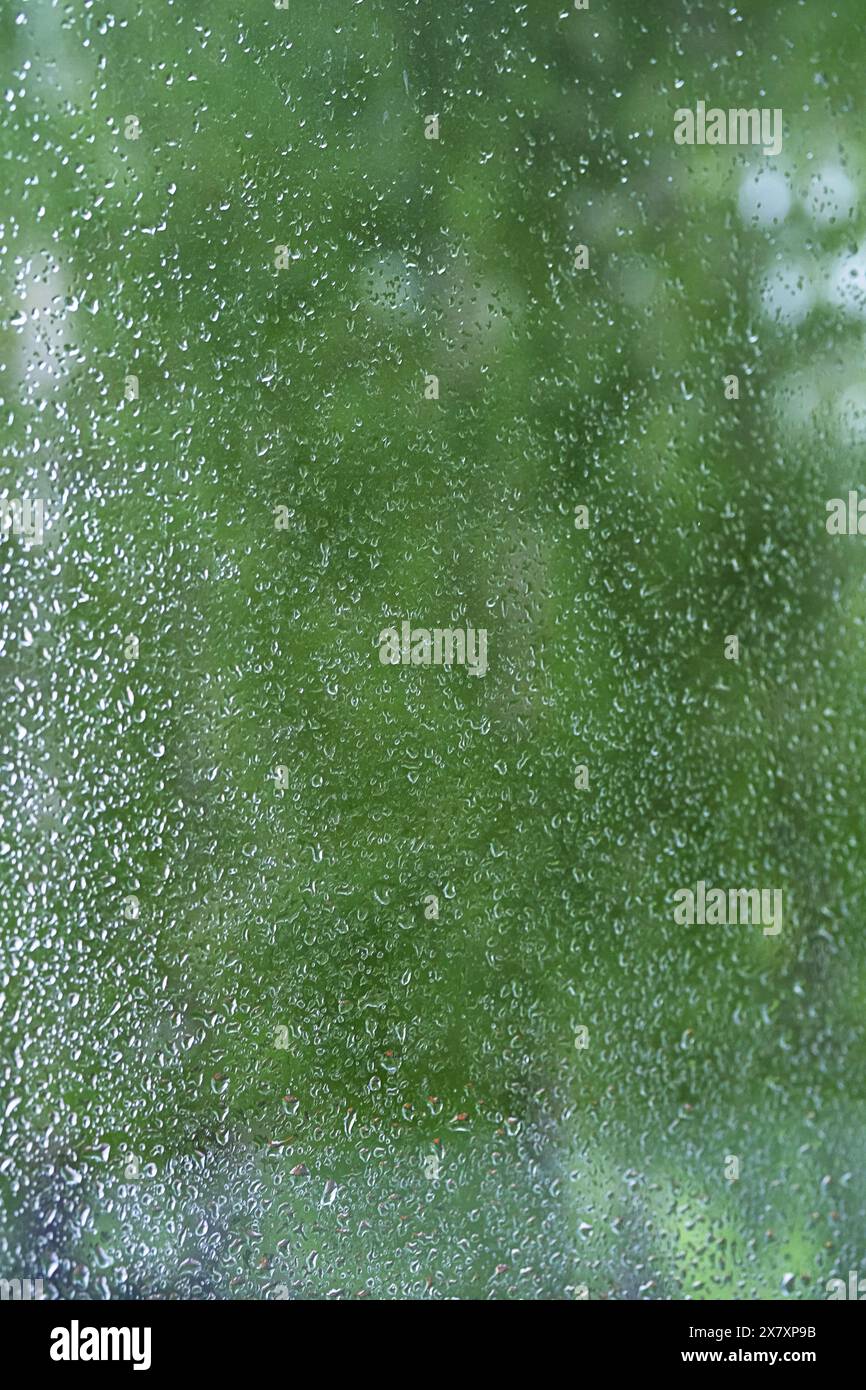 Trees through a rain soaked window Stock Photo - Alamy