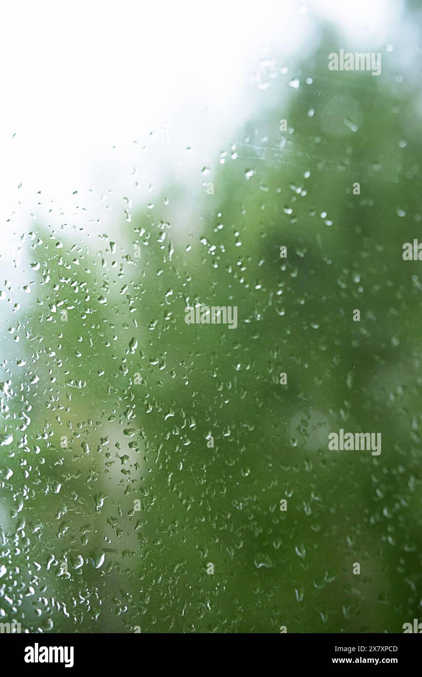 Trees through a rain soaked window Stock Photo - Alamy