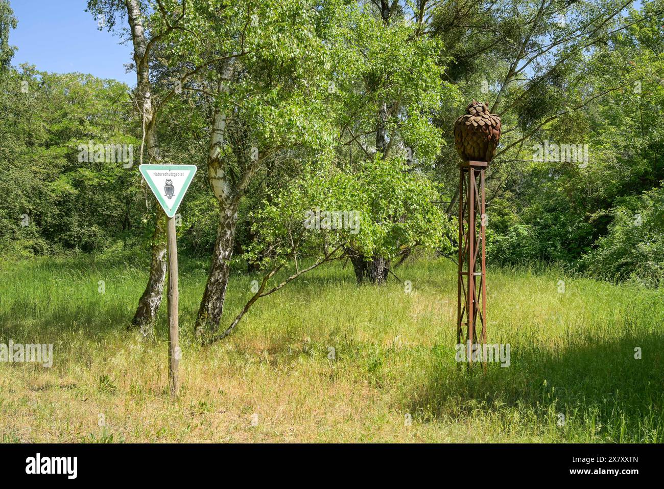 Naturpark Schöneberger Südgelände, Prellerweg, Schöneberg, Berlin ...