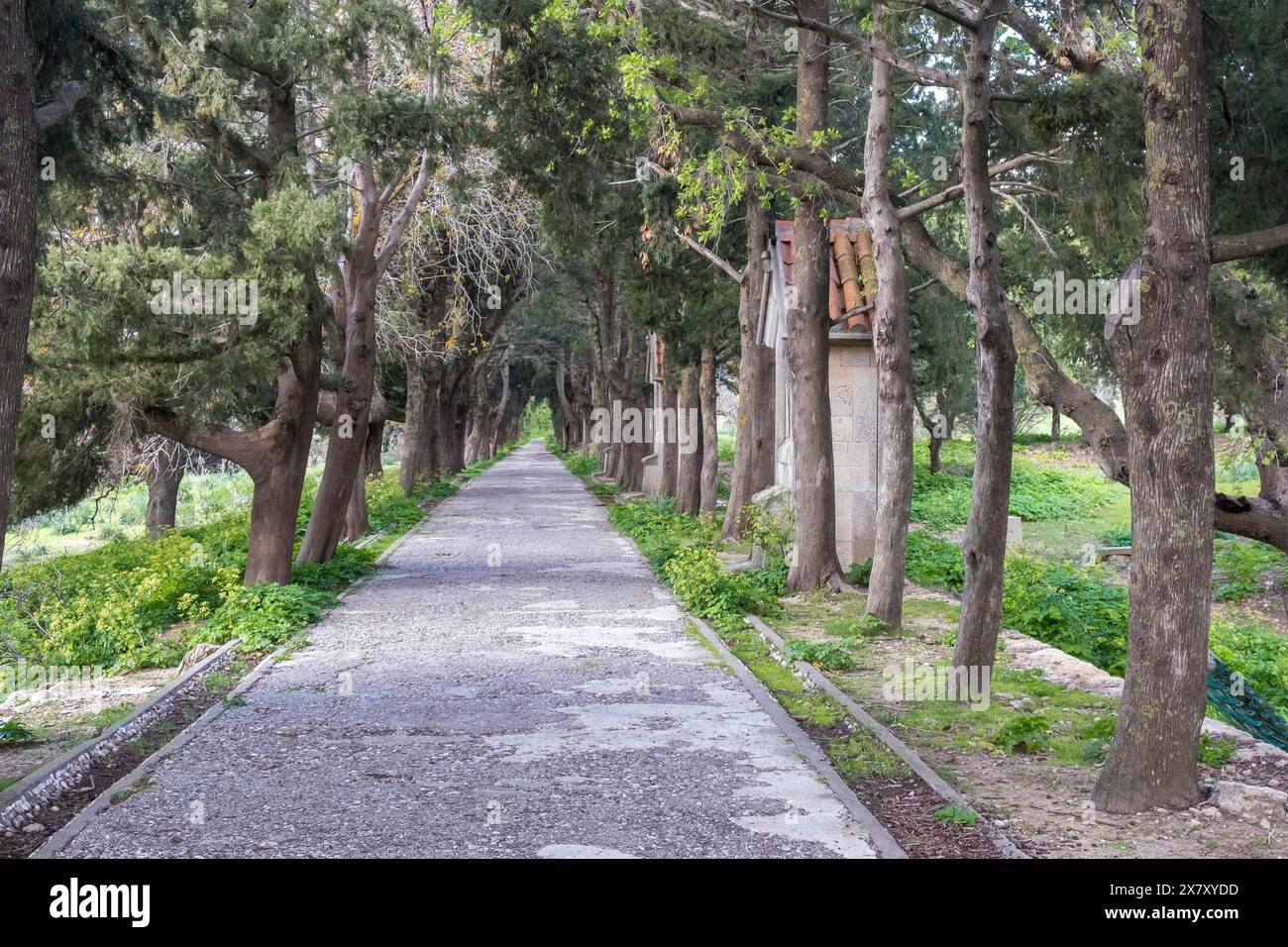 Way of the Cross on Mount Filerimos, Rhodes, Dodecanese, Greek island ...