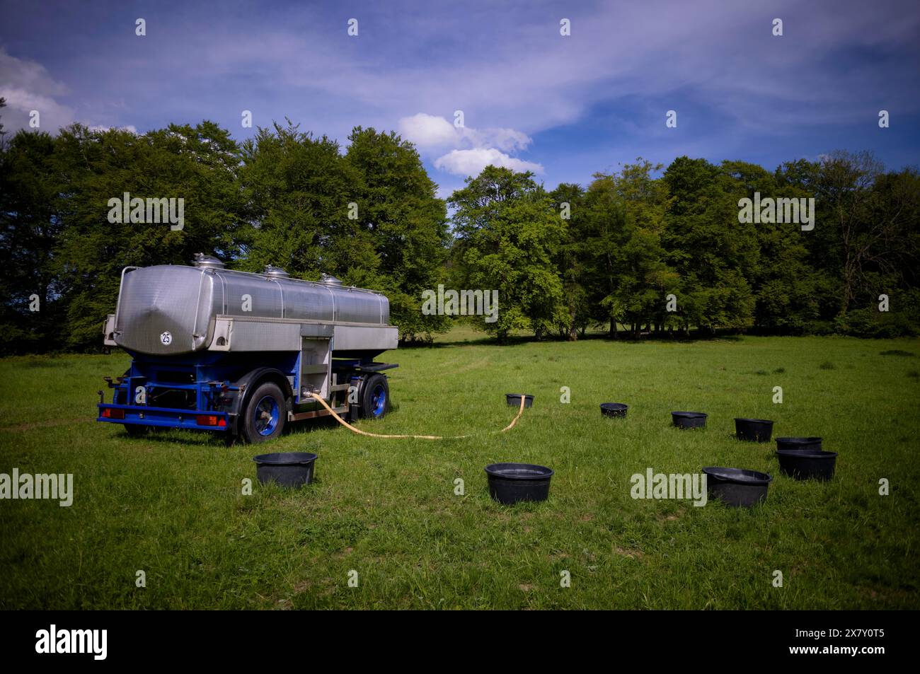 Water barrel wagon, water tank, mobile, for sheep, flock of sheep ...