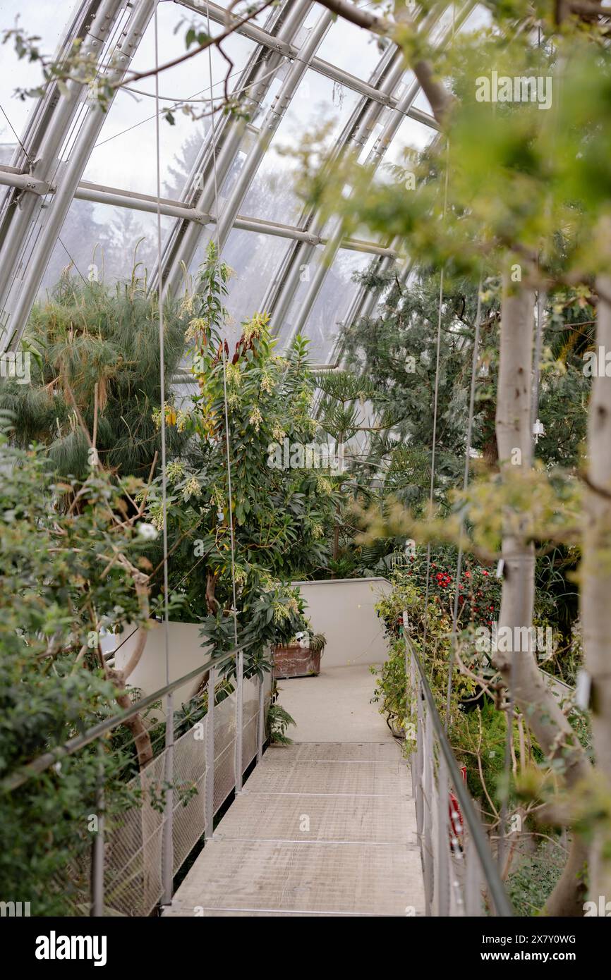 Botanical garden in Graz, Styria Stock Photo - Alamy