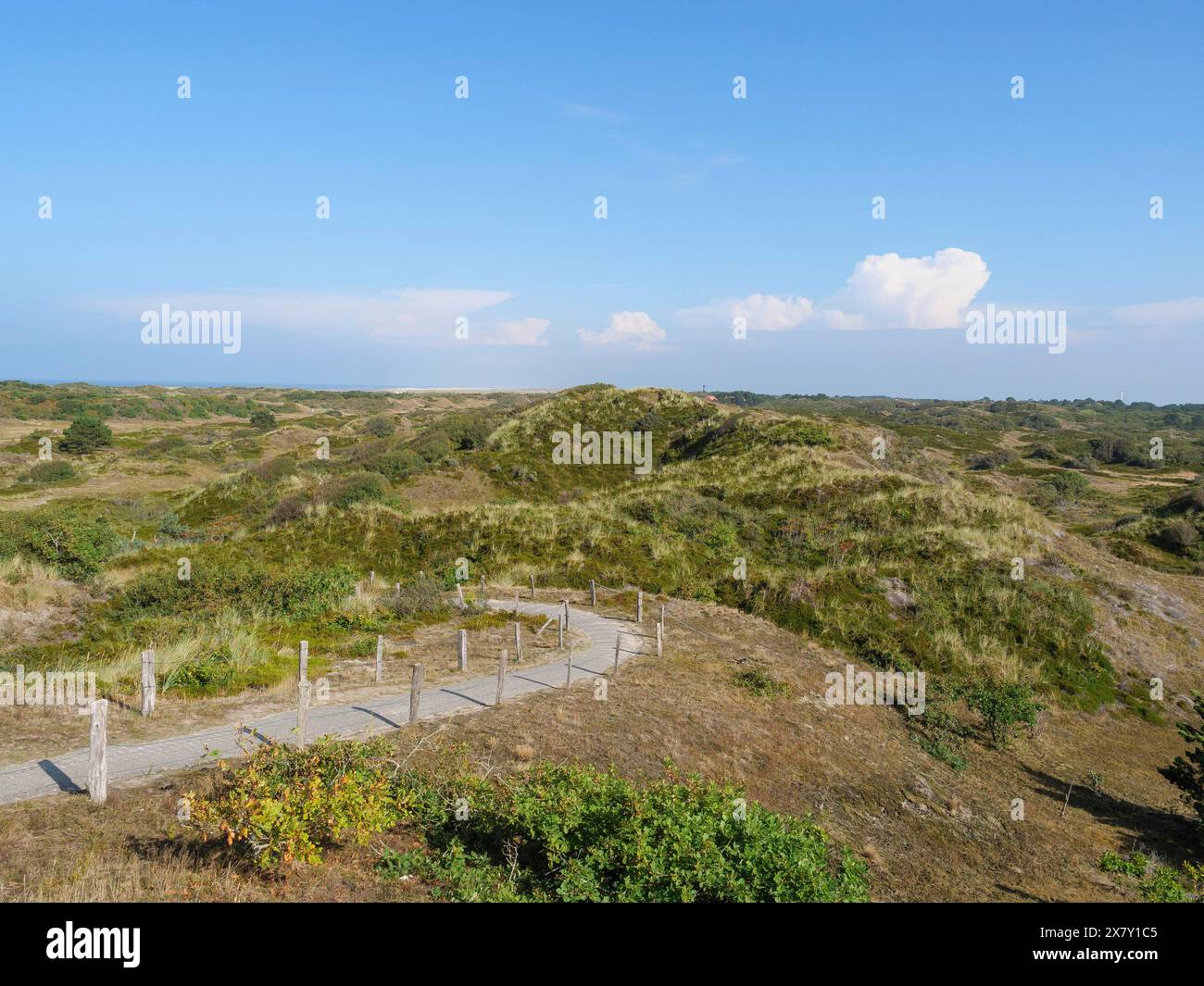 Hilly landscape with a hiking trail surrounded by grass and bushes ...