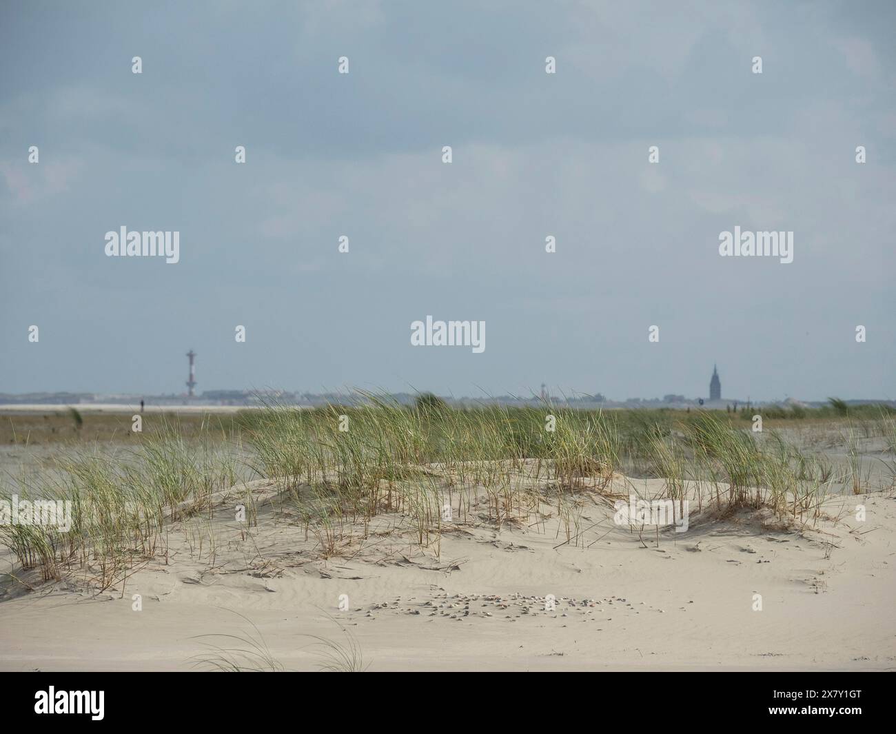 Sand dunes with grasses in the foreground and a lighthouse in the ...