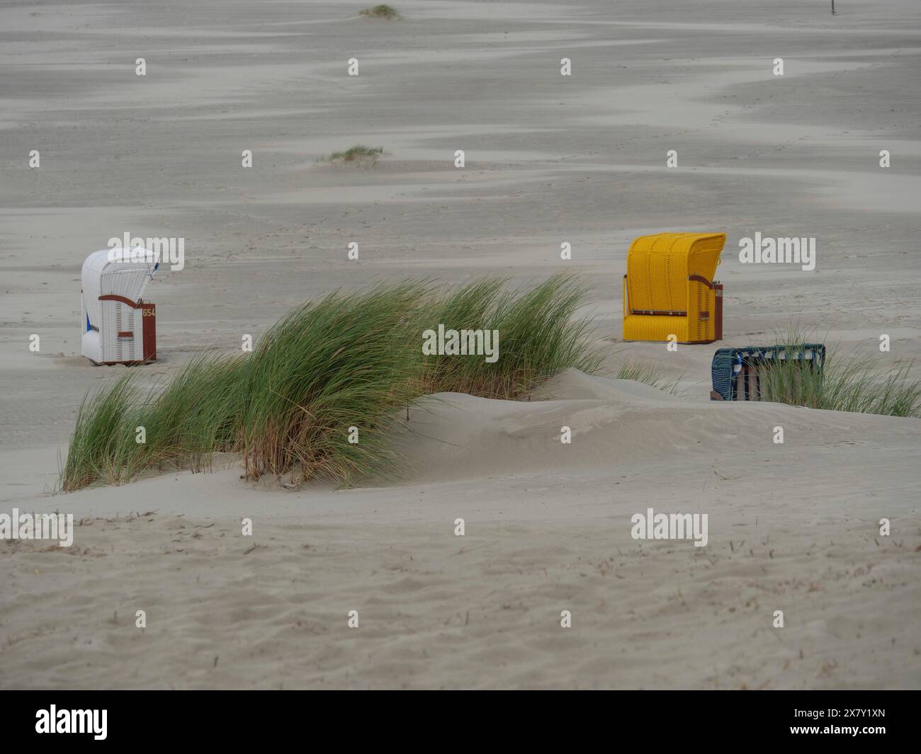 Two beach chairs, one yellow and one white, stand in the dunes on the ...