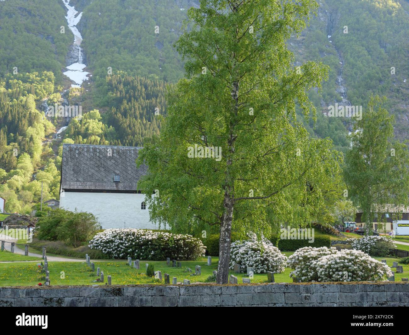 Green cemetery with gravestones, a tree and a white building in front ...