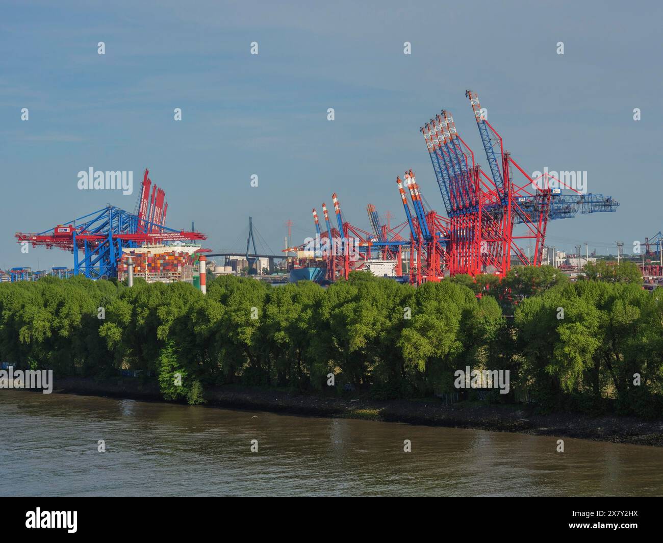 Container harbour with cranes and containers behind a row of trees on ...