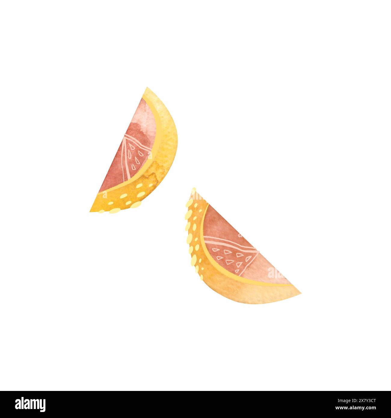 Two lemon slices in sketch style. Clipart. Isolated watercolor ...