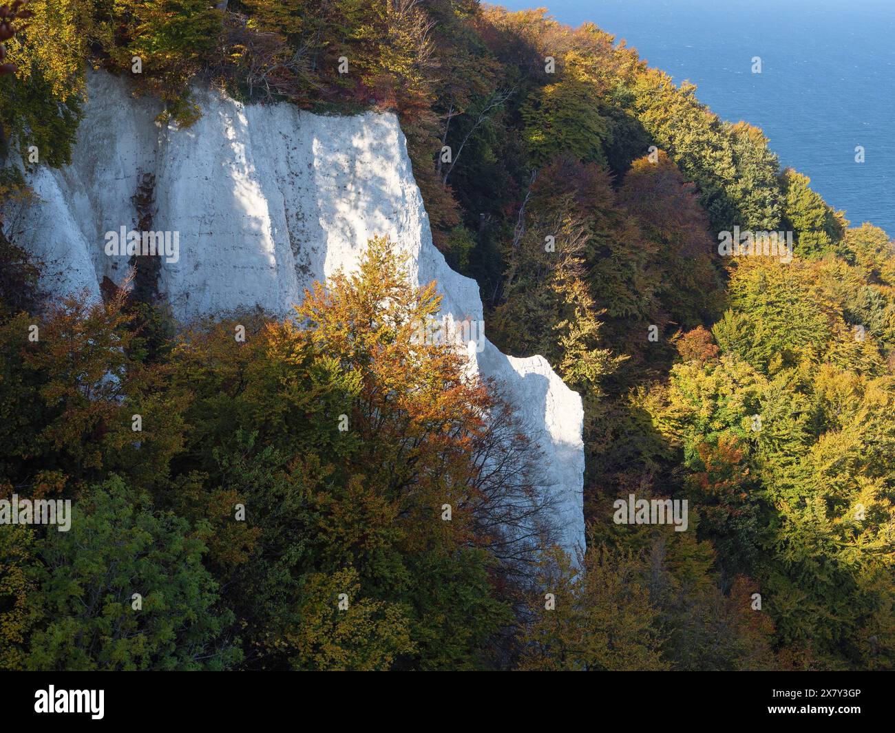 Steep cliffs lined with autumn trees, overlooking the ocean, autumn ...