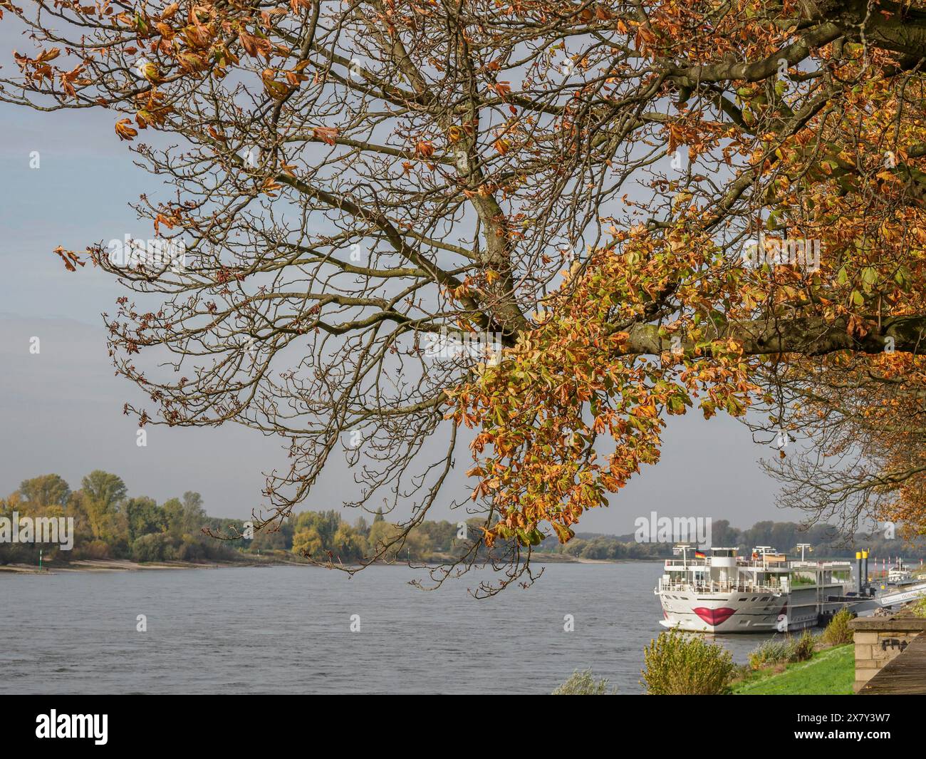 White ship on a river, surrounded by autumn coloured trees. The scene ...