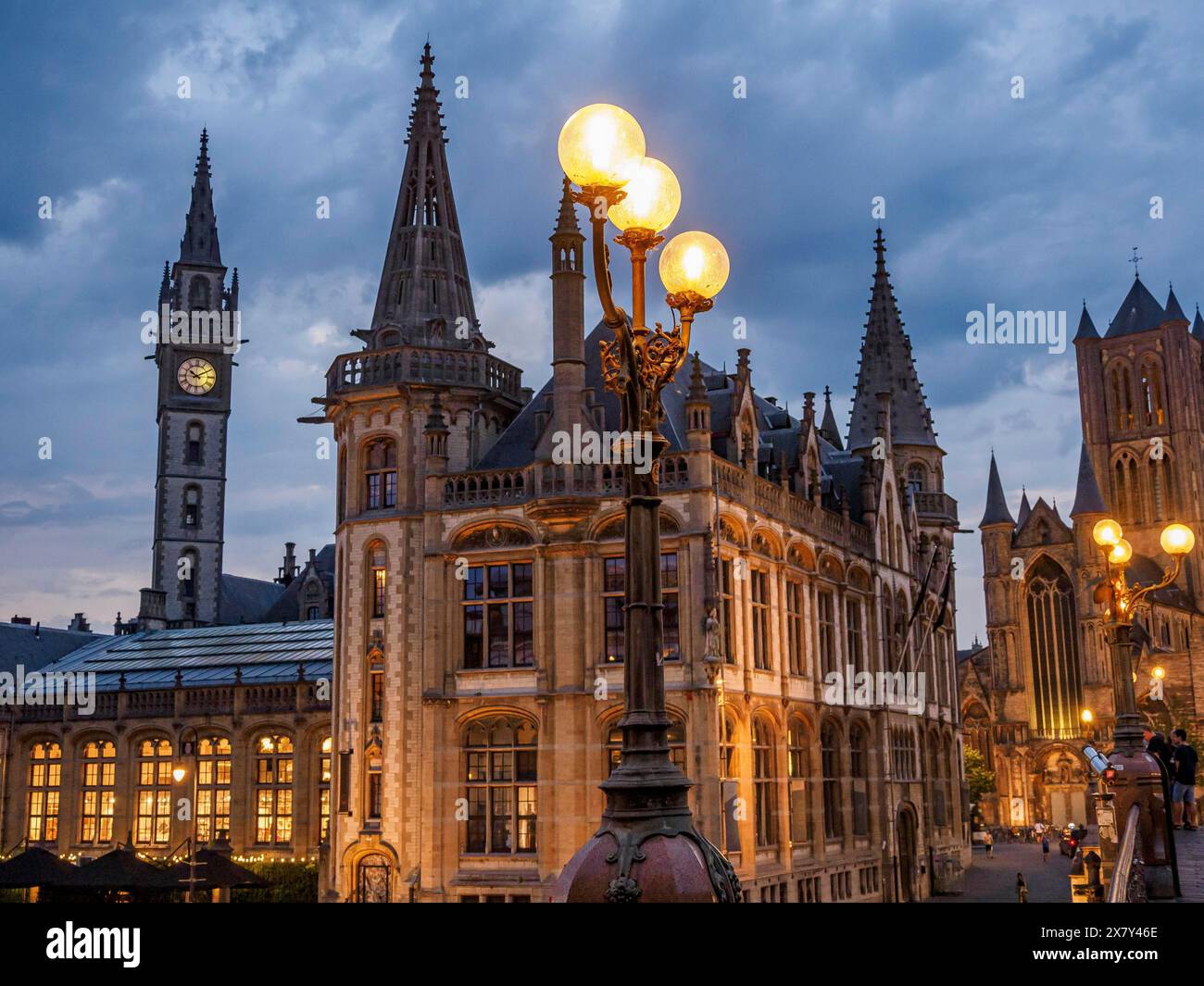 An illuminated gothic cathedral and towers in a park at night, historic ...