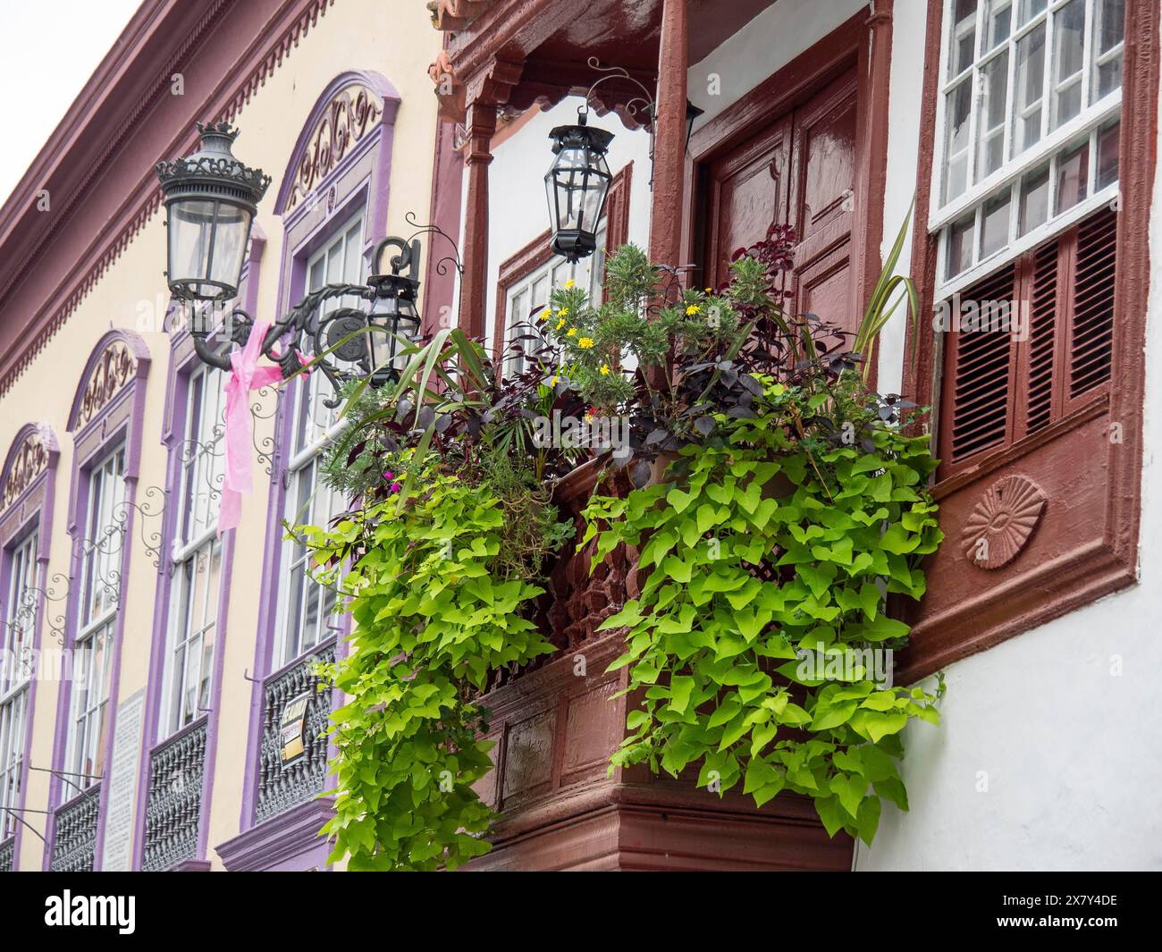 Blooming balcony with decorative lanterns and lush green foliage on a ...
