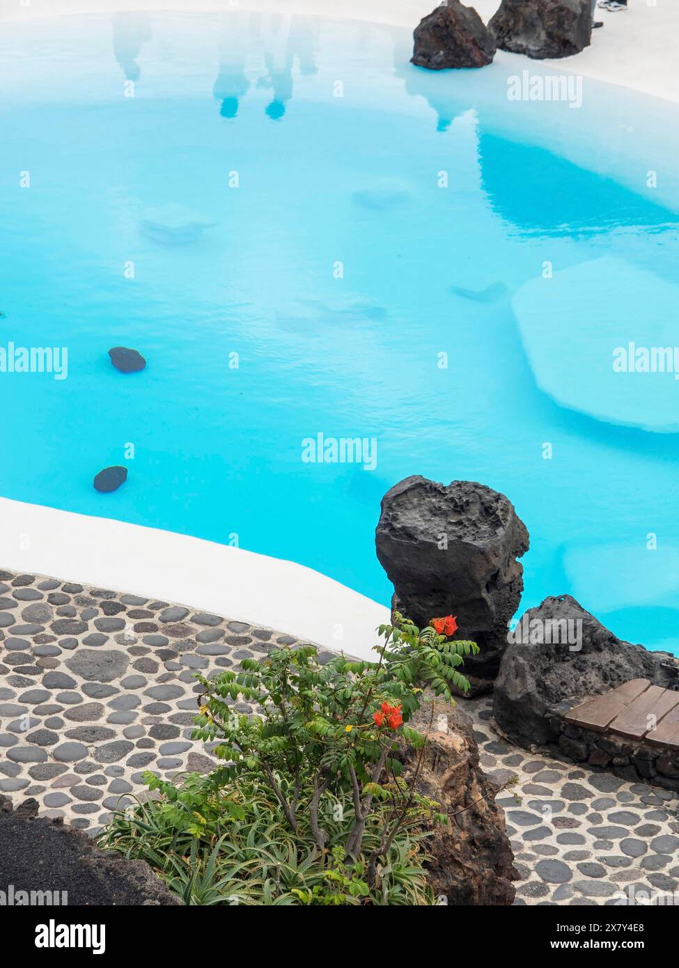 Light blue swimming pool with volcanic stones and plants in a tropical ...
