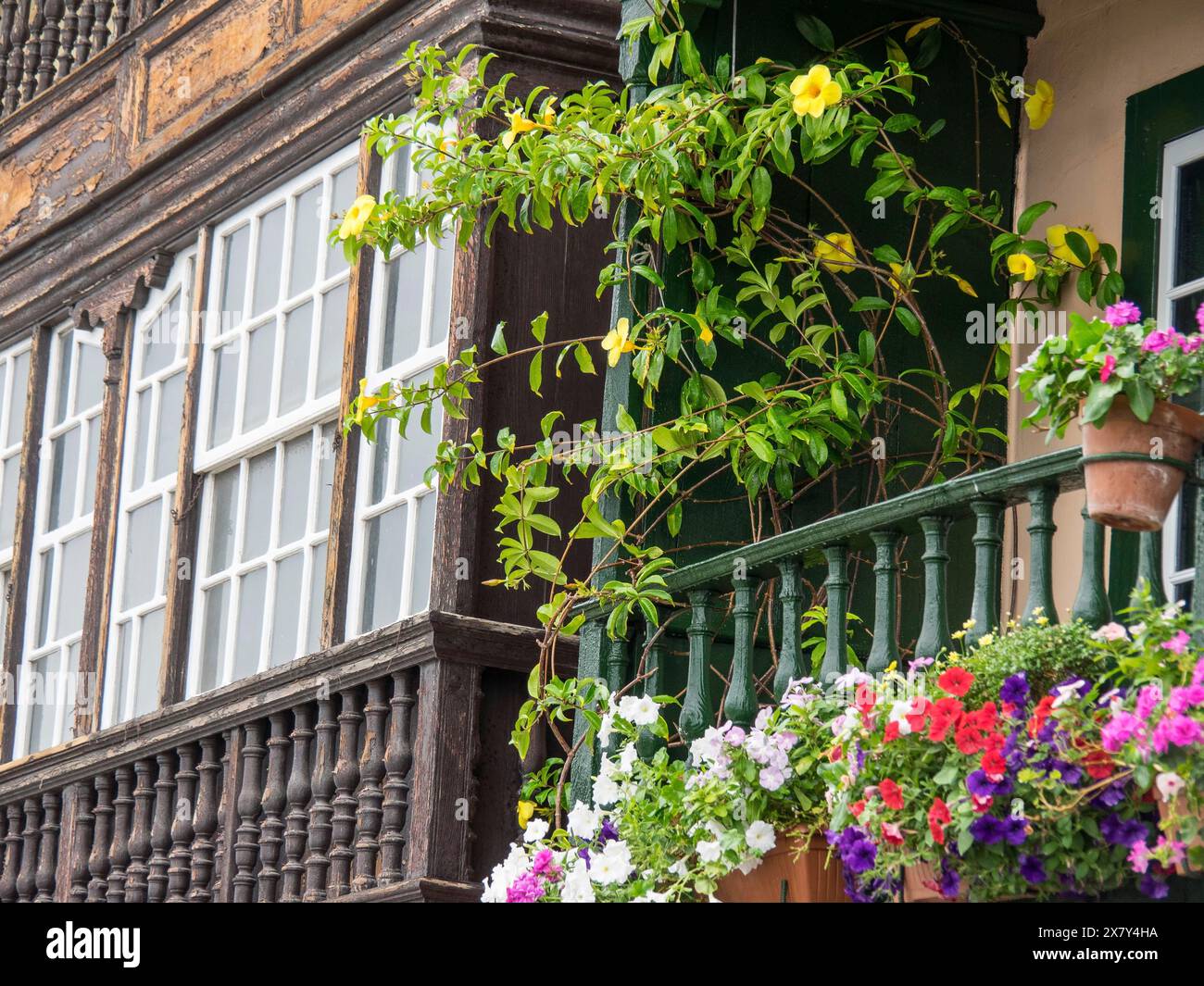 A balcony with flowering plants, ivy and flower pots on an antique ...