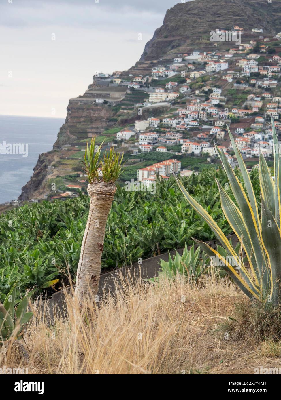 Aerial view of a densely populated hill above the ocean, surrounded by ...