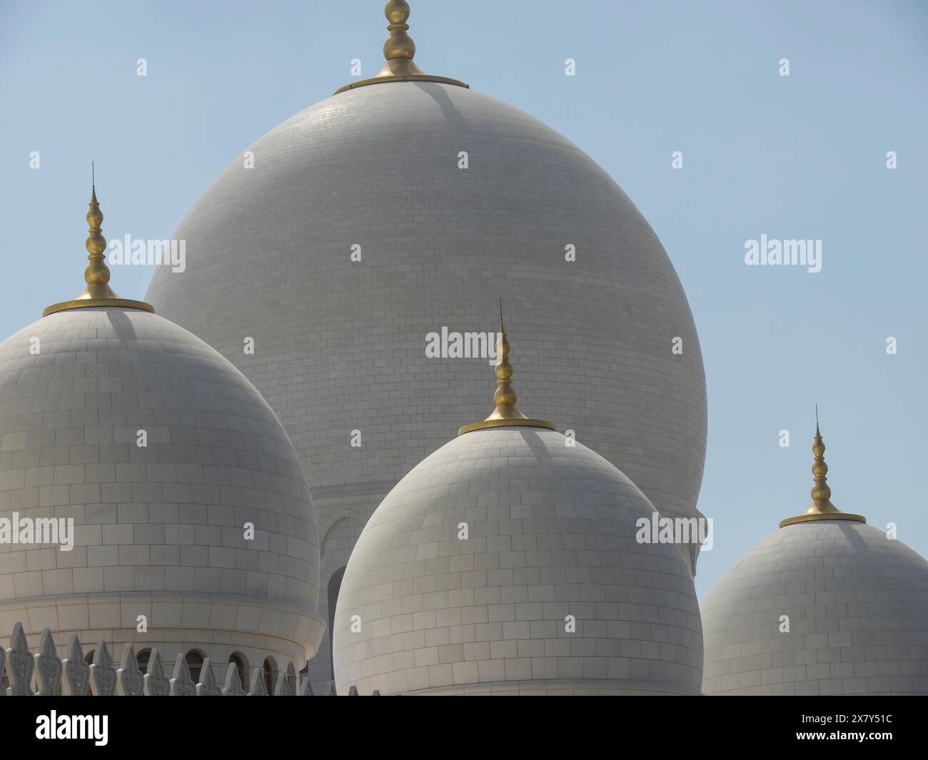 The immaculately detailed domes of the mosque stand out against the ...