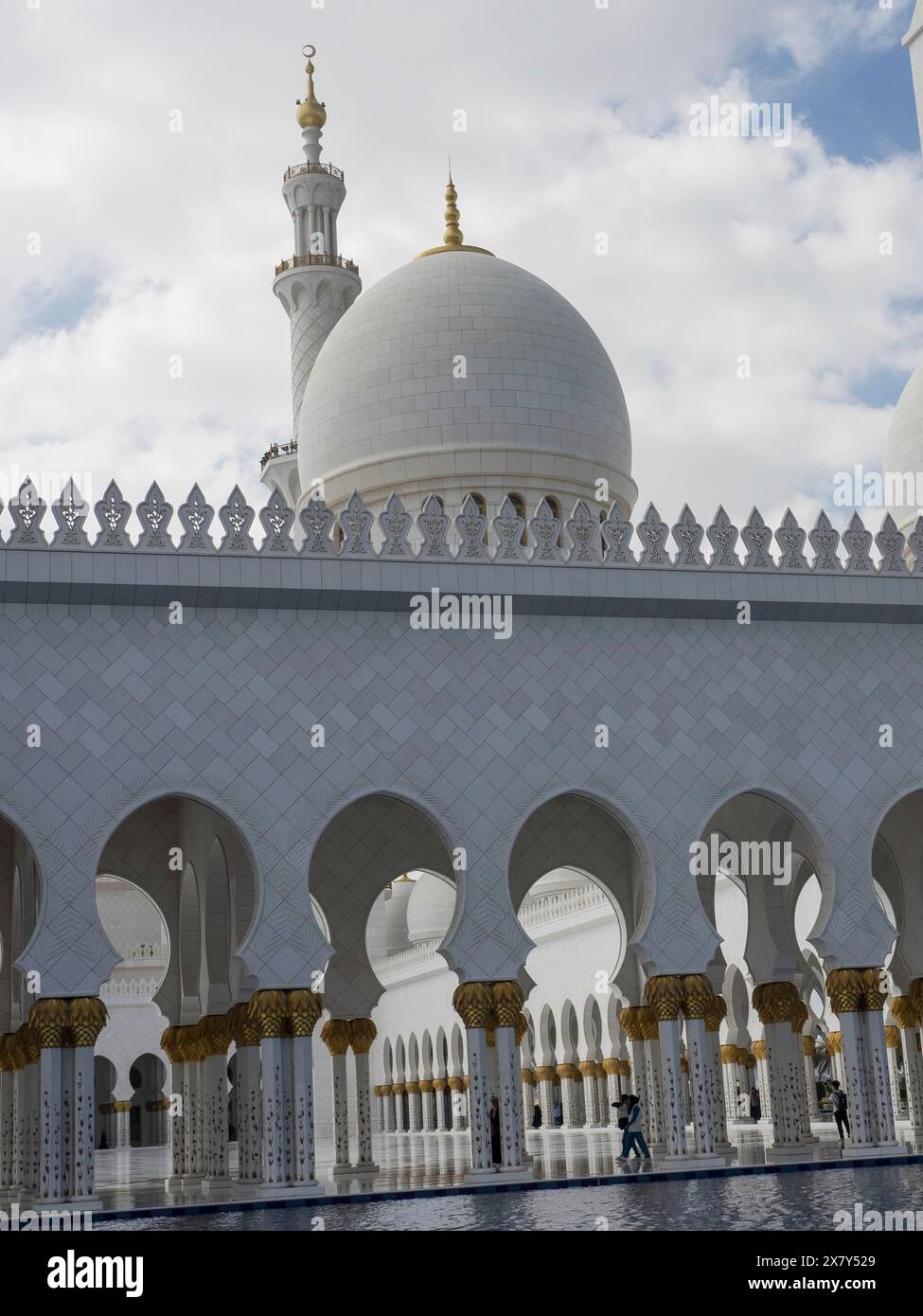 A detailed picture of the mosque with magnificent domes, minarets and ...