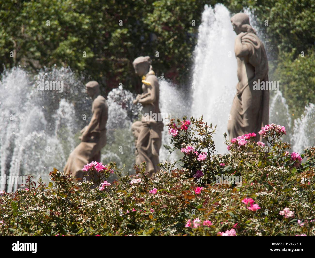 Statues in a fountain in the foreground of blooming flowers and gushing ...
