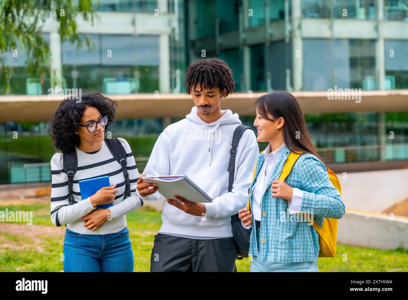 Multi-ethnic students reading notes before an exam in the university ...
