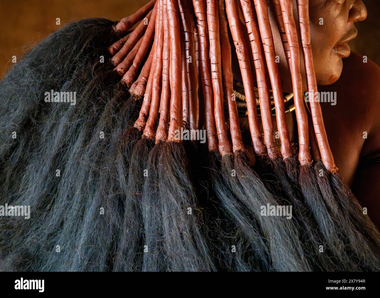 Hair in traditional hairstyle of a Himba woman, detail near Opuwo ...