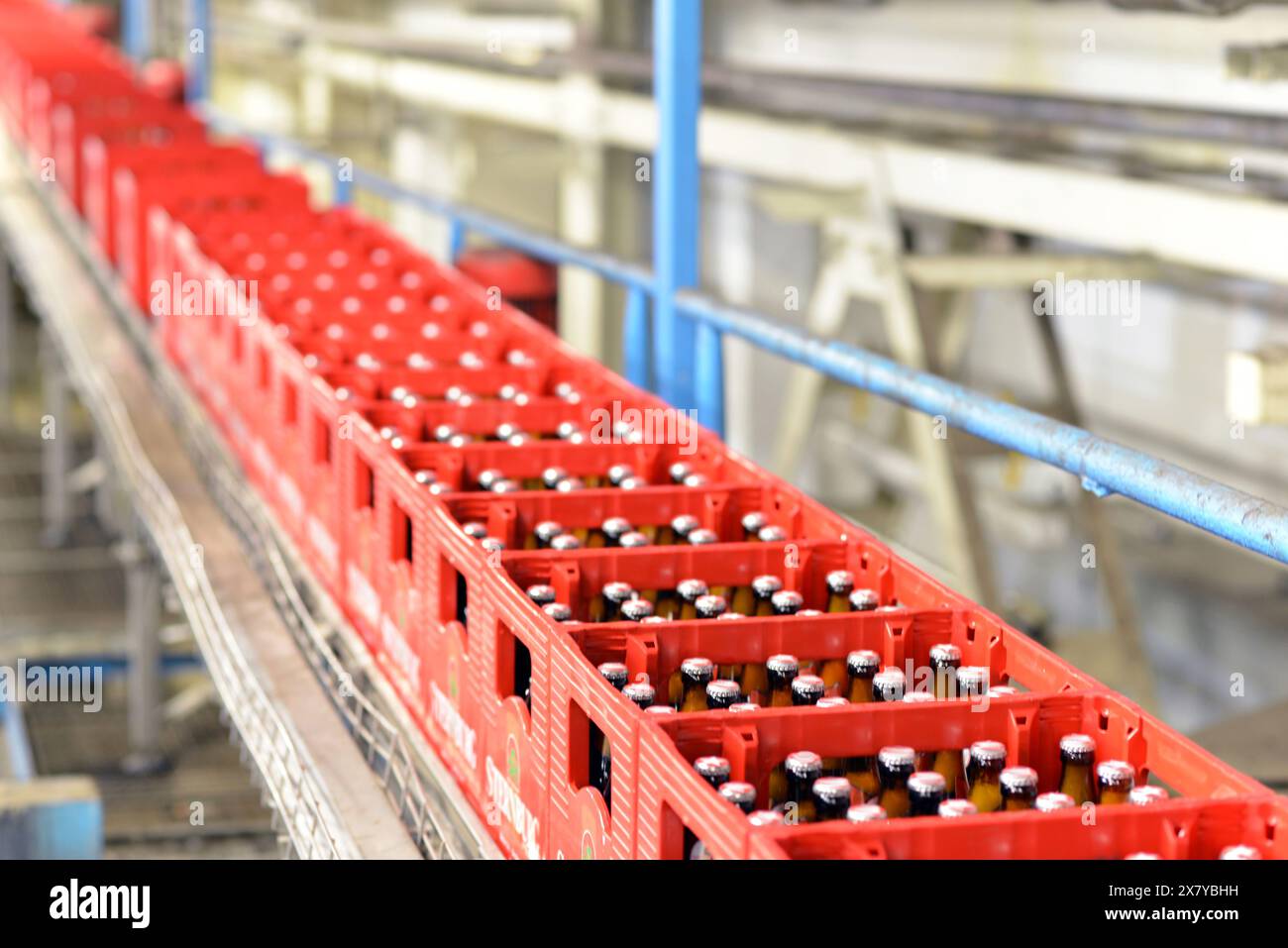 modern factory in the food industry - beer brewery - conveyor belt with ...