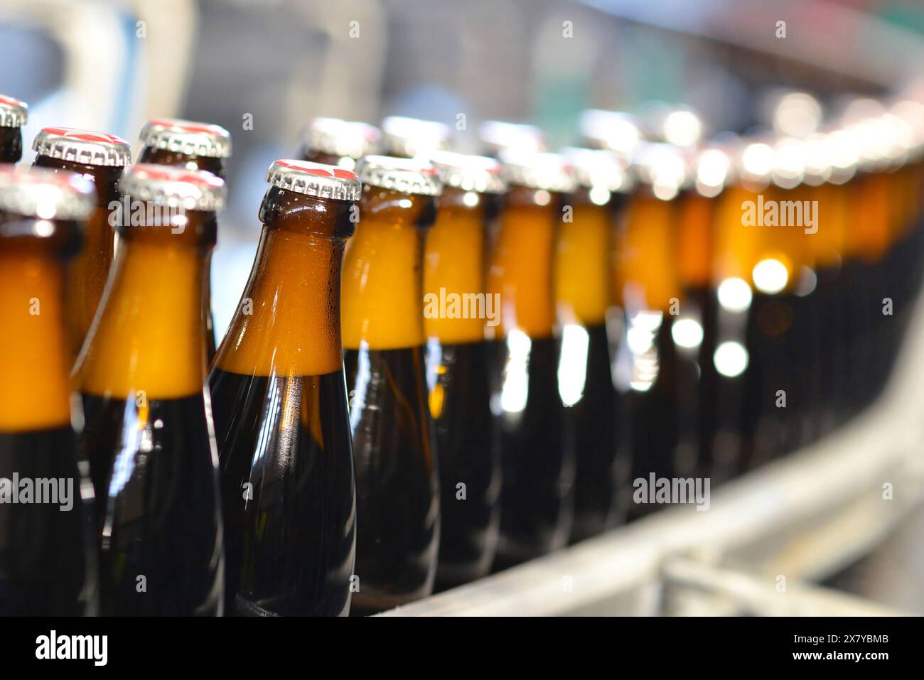 beer bottles on the assembly line in a modern brewery - industrial ...