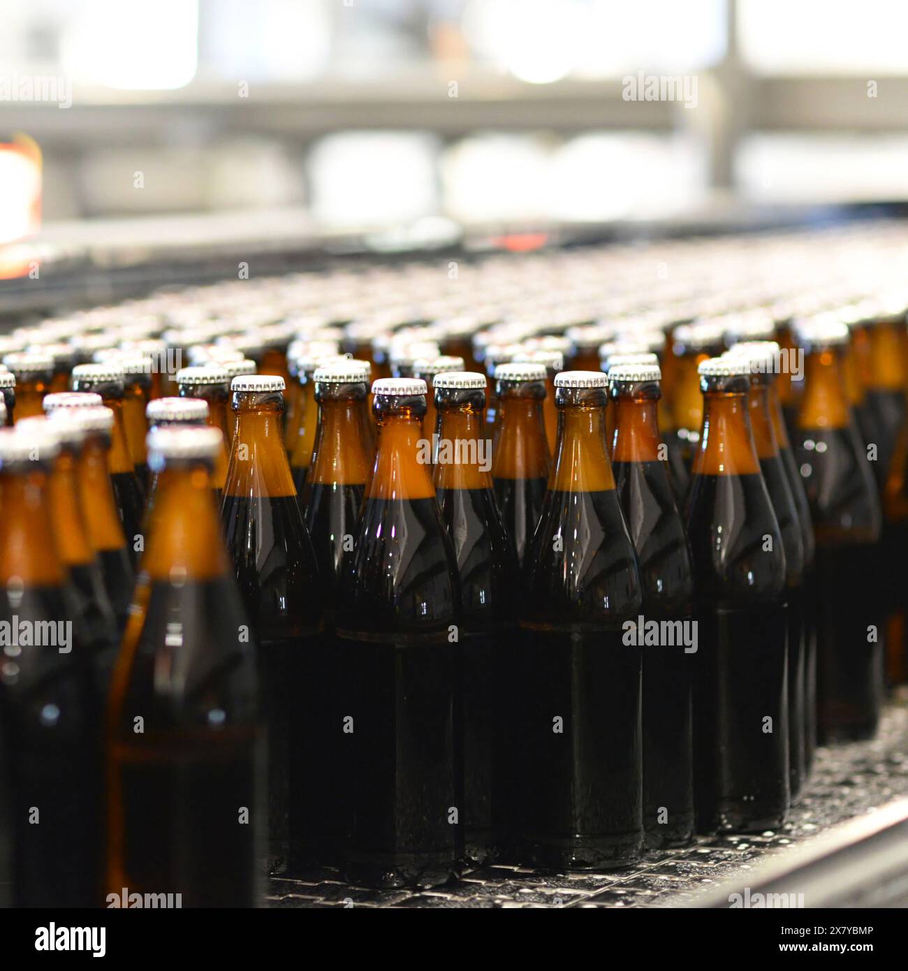 beer bottles on the assembly line in a modern brewery - industrial ...
