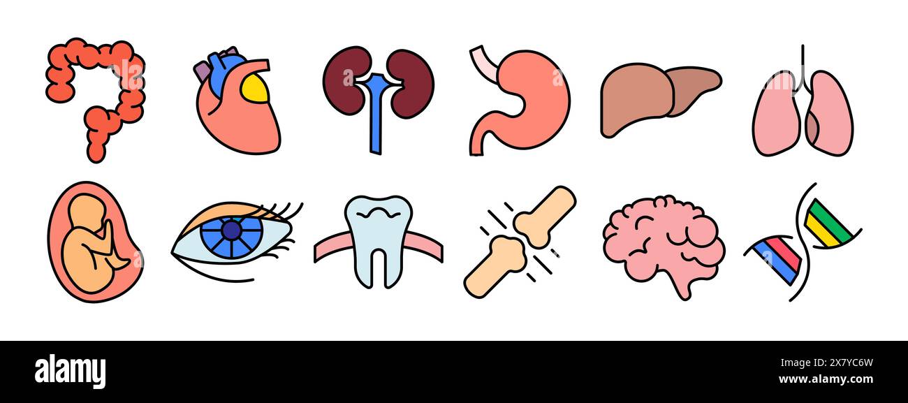 Human anatomy set icon. Intestine, heart, kidney, stomach, liver, lungs ...