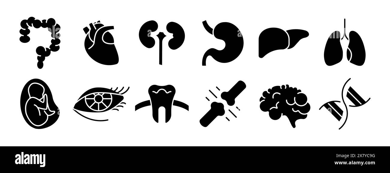 Human anatomy set icon. Intestine, heart, kidney, stomach, liver, lungs ...