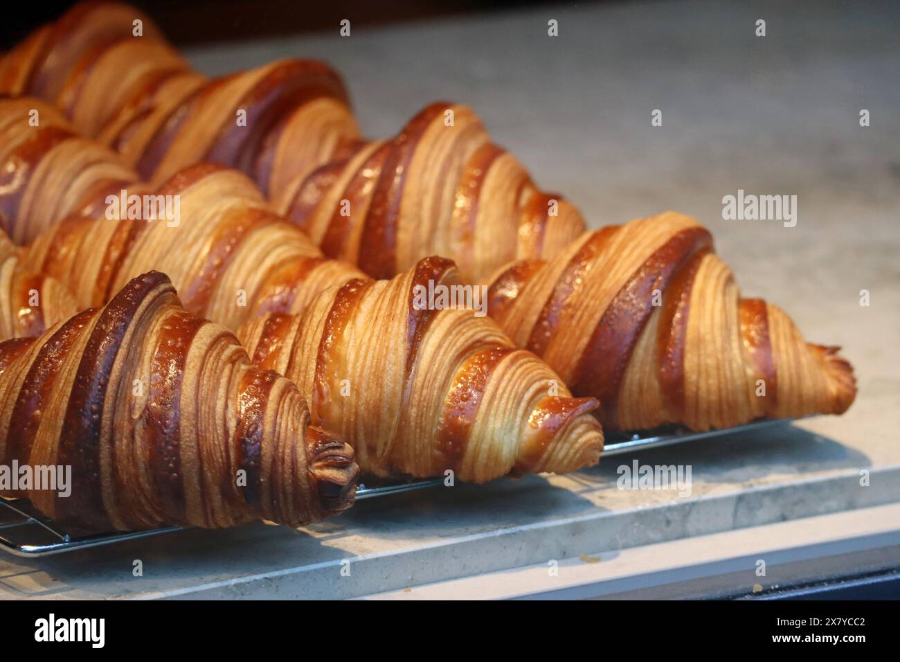 Close-up of fresh and beautiful croissants in a bakery showcase Stock ...