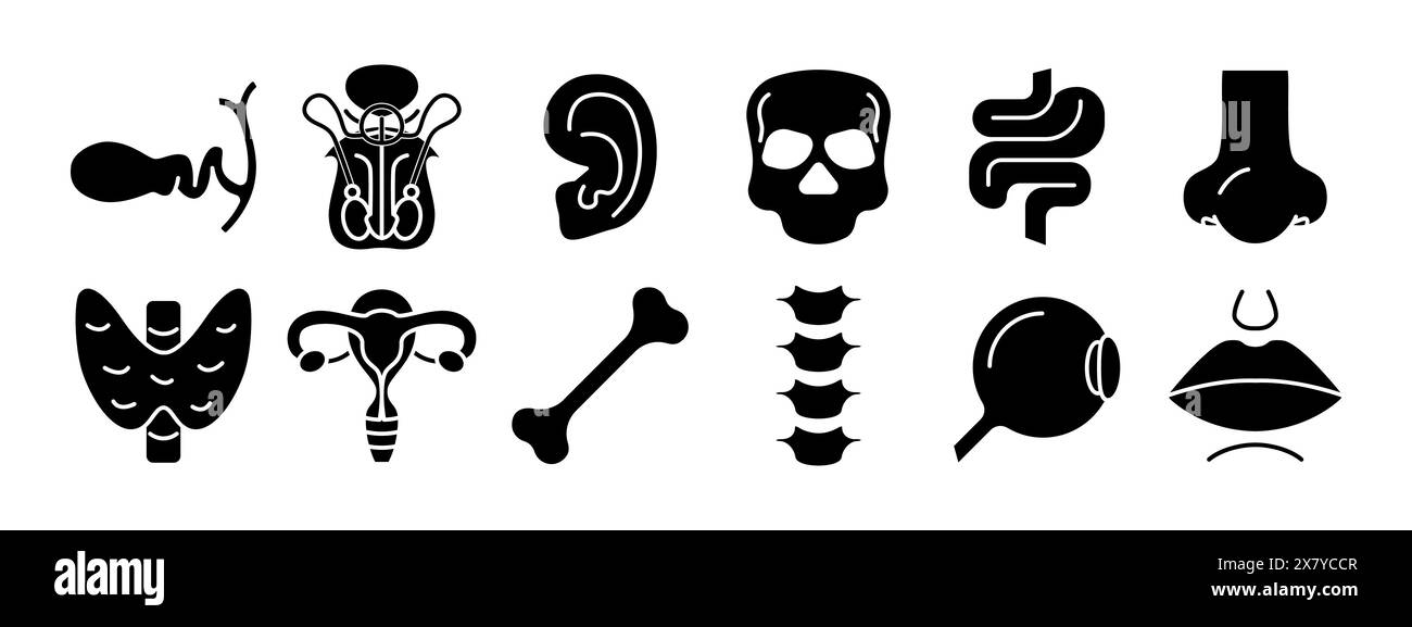 Human anatomy set icon. Gallbladder, reproductive organs, ear, skull ...