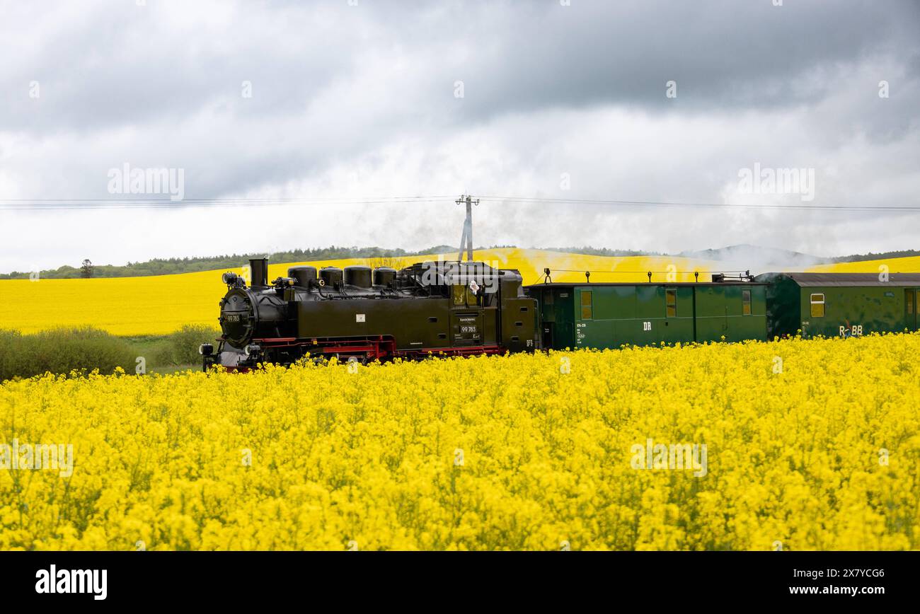 Strahlross hi-res stock photography and images - Alamy