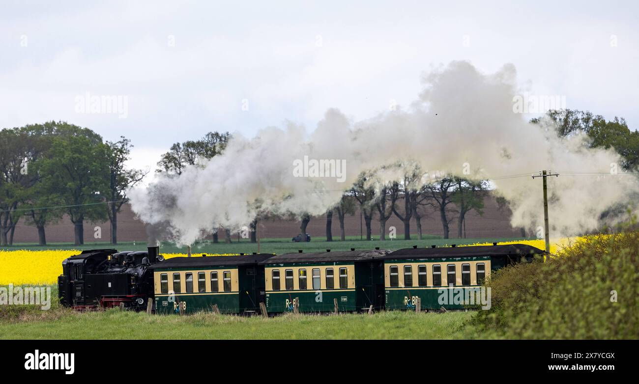 Rasender Roland Die Dampflok 99783 zieht einen Personenzug des Rasenden ...