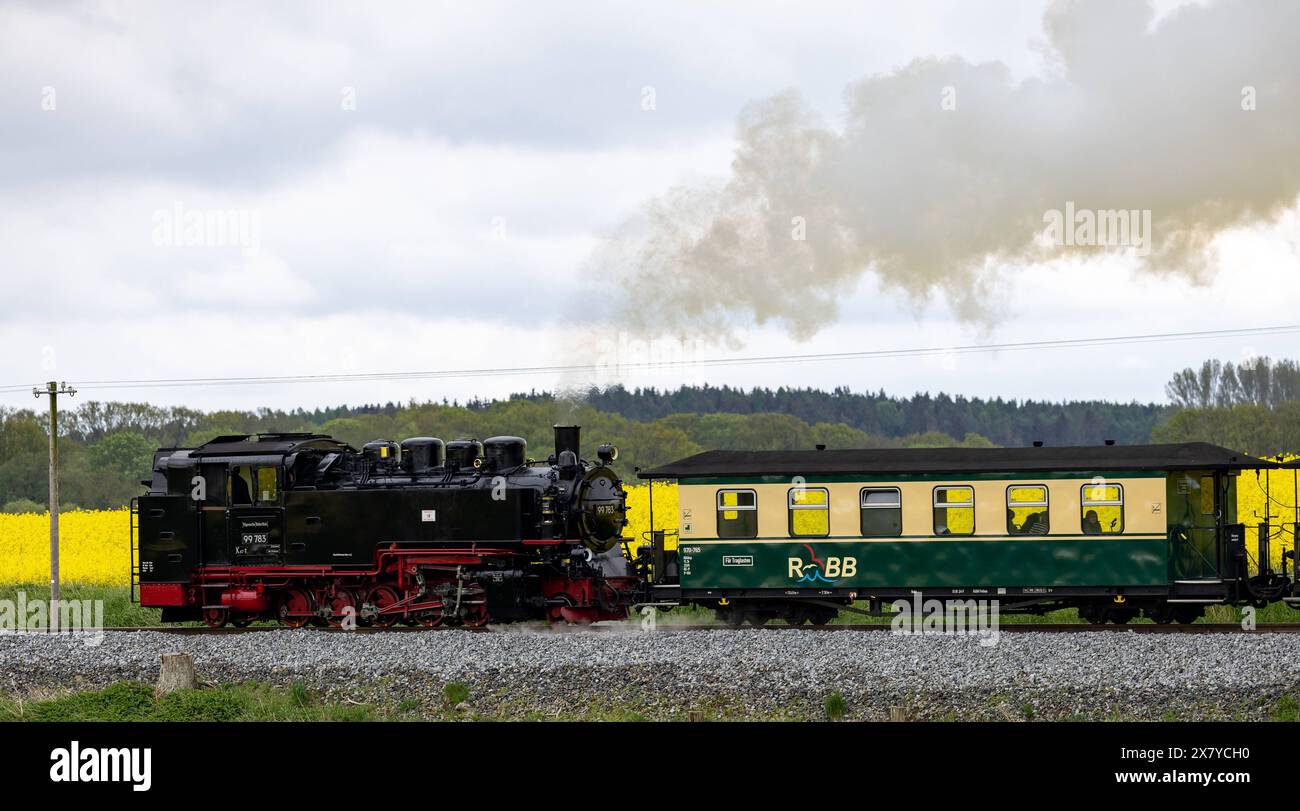 Rasender Roland Die Dampflok 99783 zieht einen Personenzug des Rasenden ...