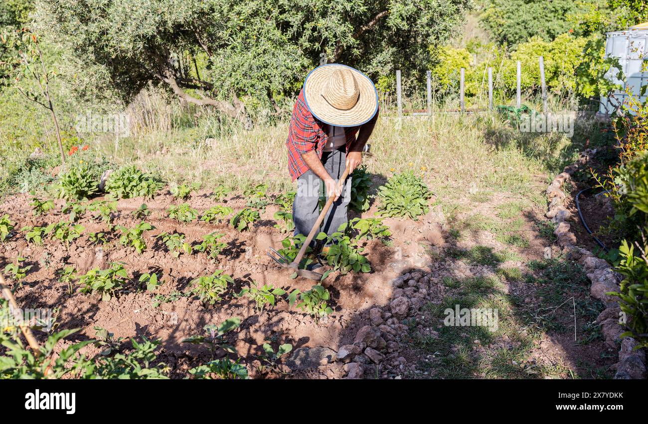 Farmers cultivating soil in the garden with tools at hand. Soil ...