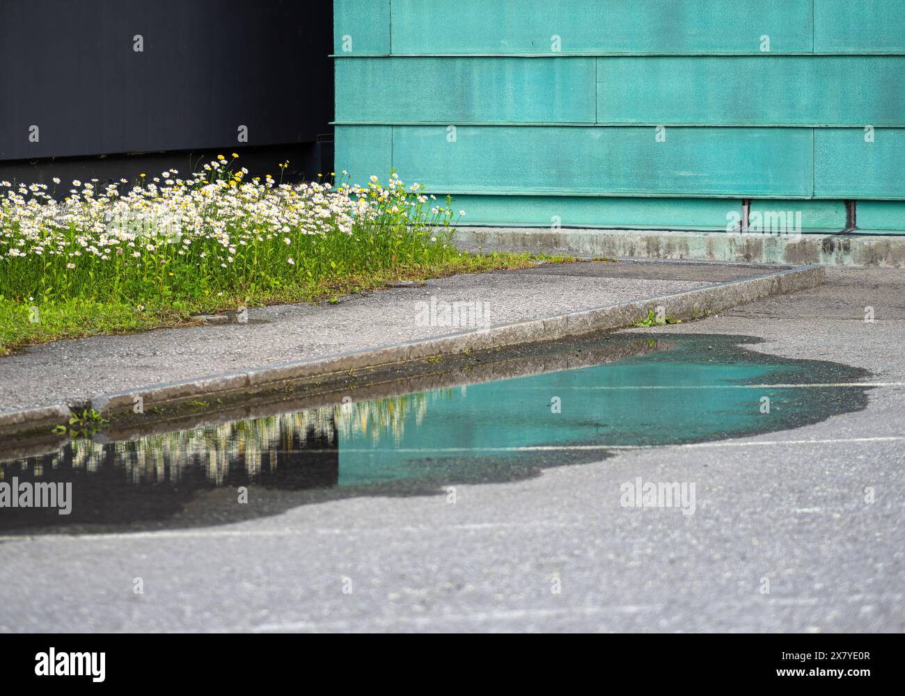 The photo captures a small serene puddle near teal building corner with ...