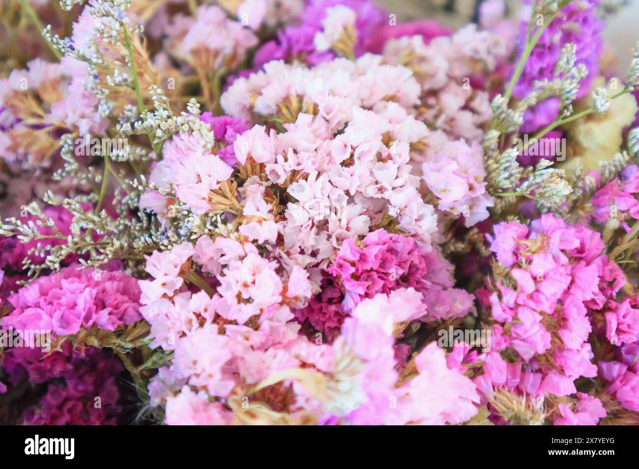 Bouquet of dry flower Stock Photo - Alamy