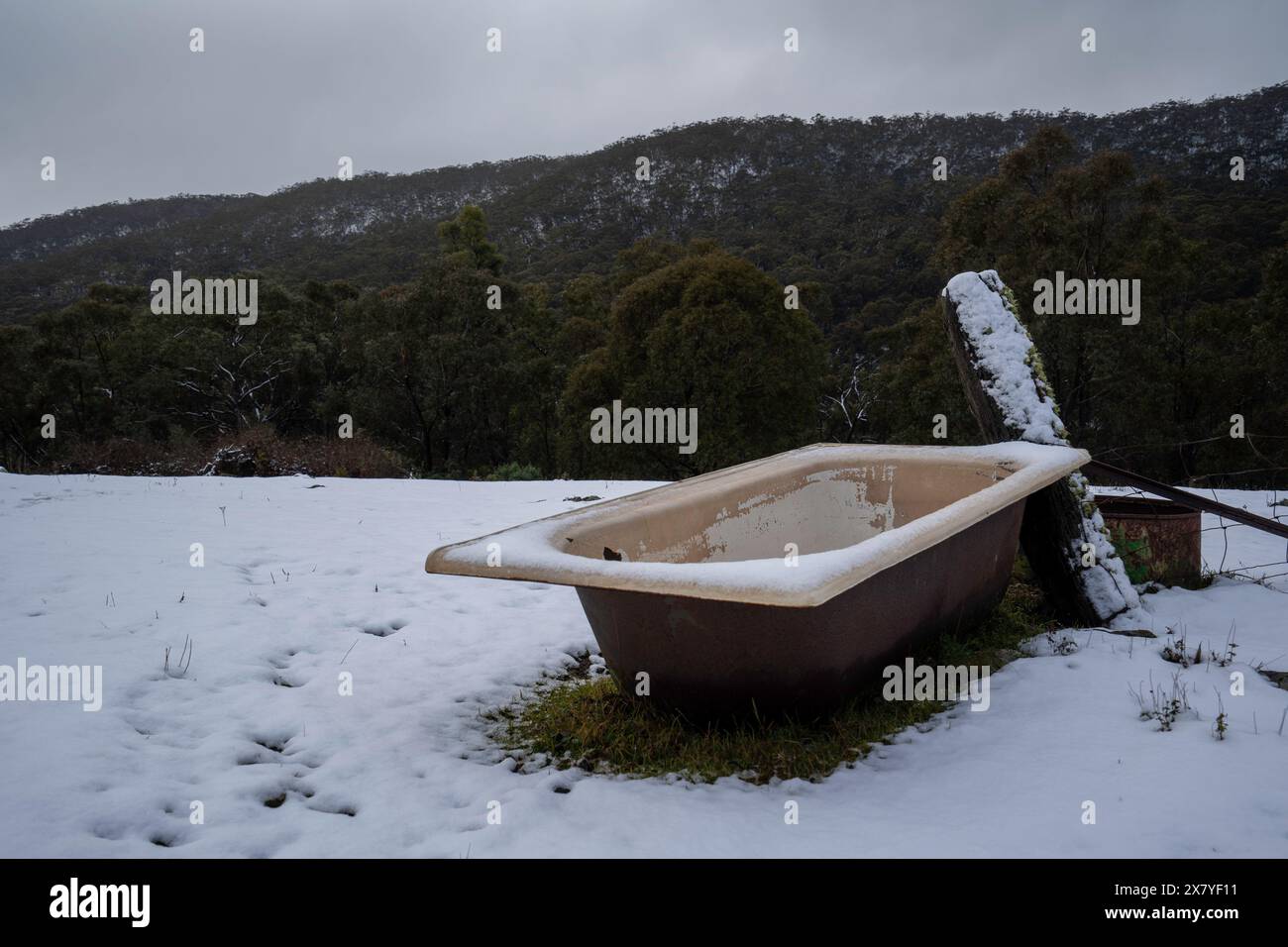 Farm water trough hi-res stock photography and images - Alamy
