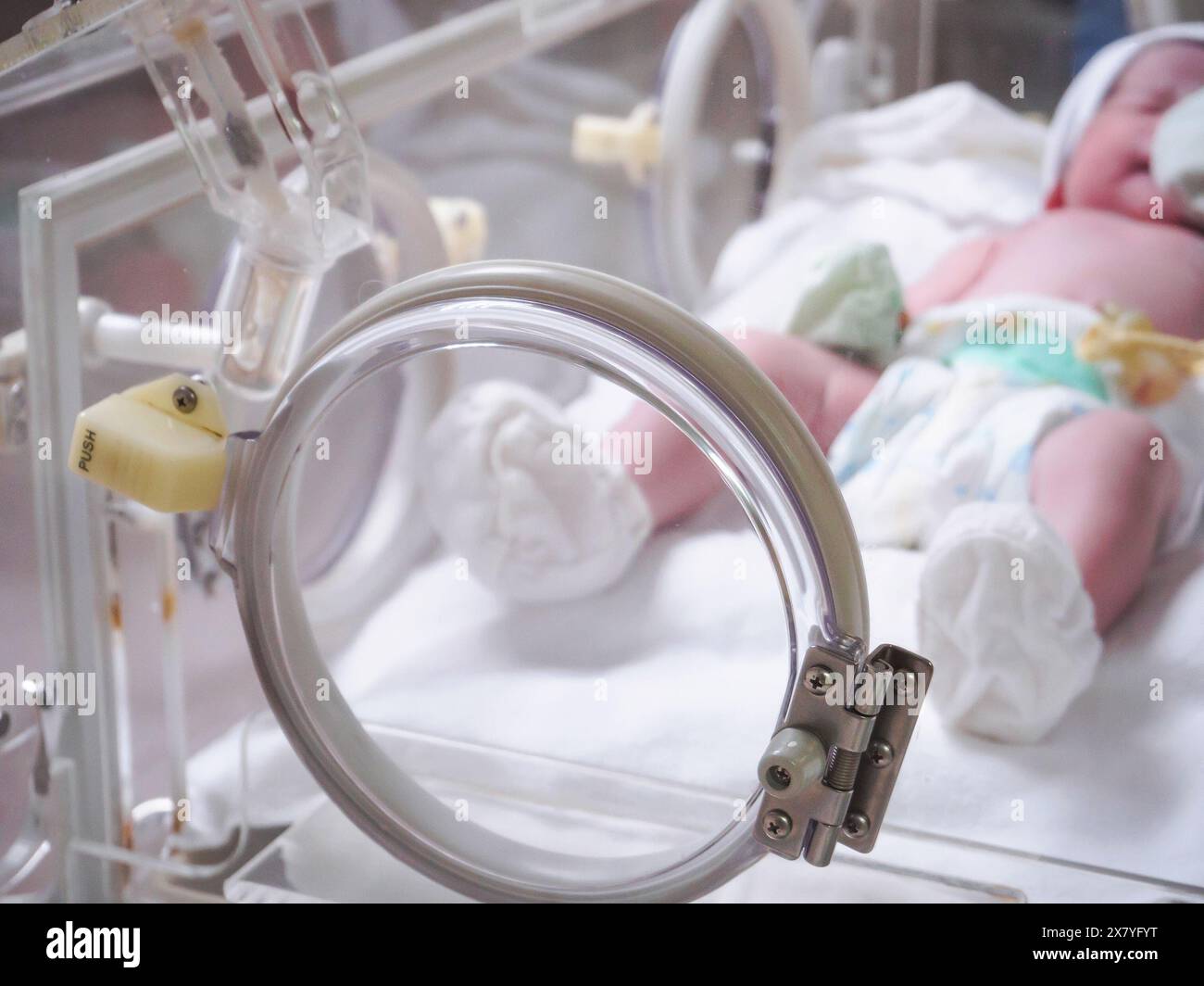 Newborn baby girl inside incubator in hospital post delivery room Stock ...