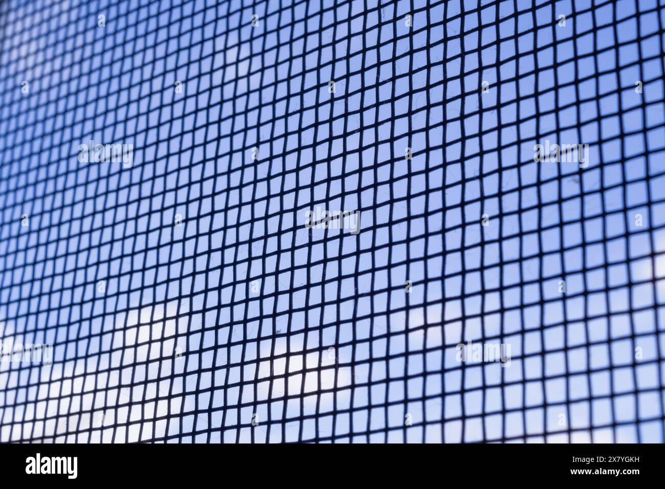 mosquito net window wire screen closeup Stock Photo - Alamy
